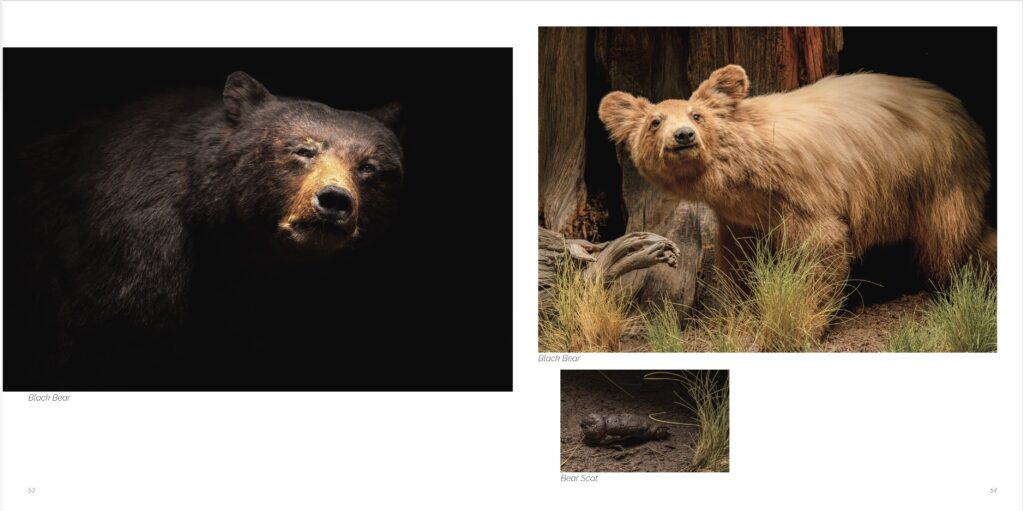 Bryce Canyon Wildlife Conservation Museum Book Highlights - Bryce ...